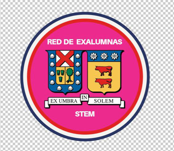 Mujeres STEM USM - Comunidad de Mujeres en Ciencia y Tecnología ...